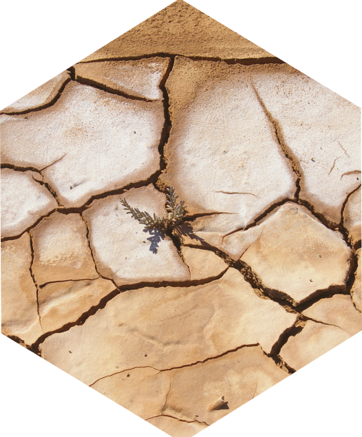 Indicators of resilience | Sonia Kéfi